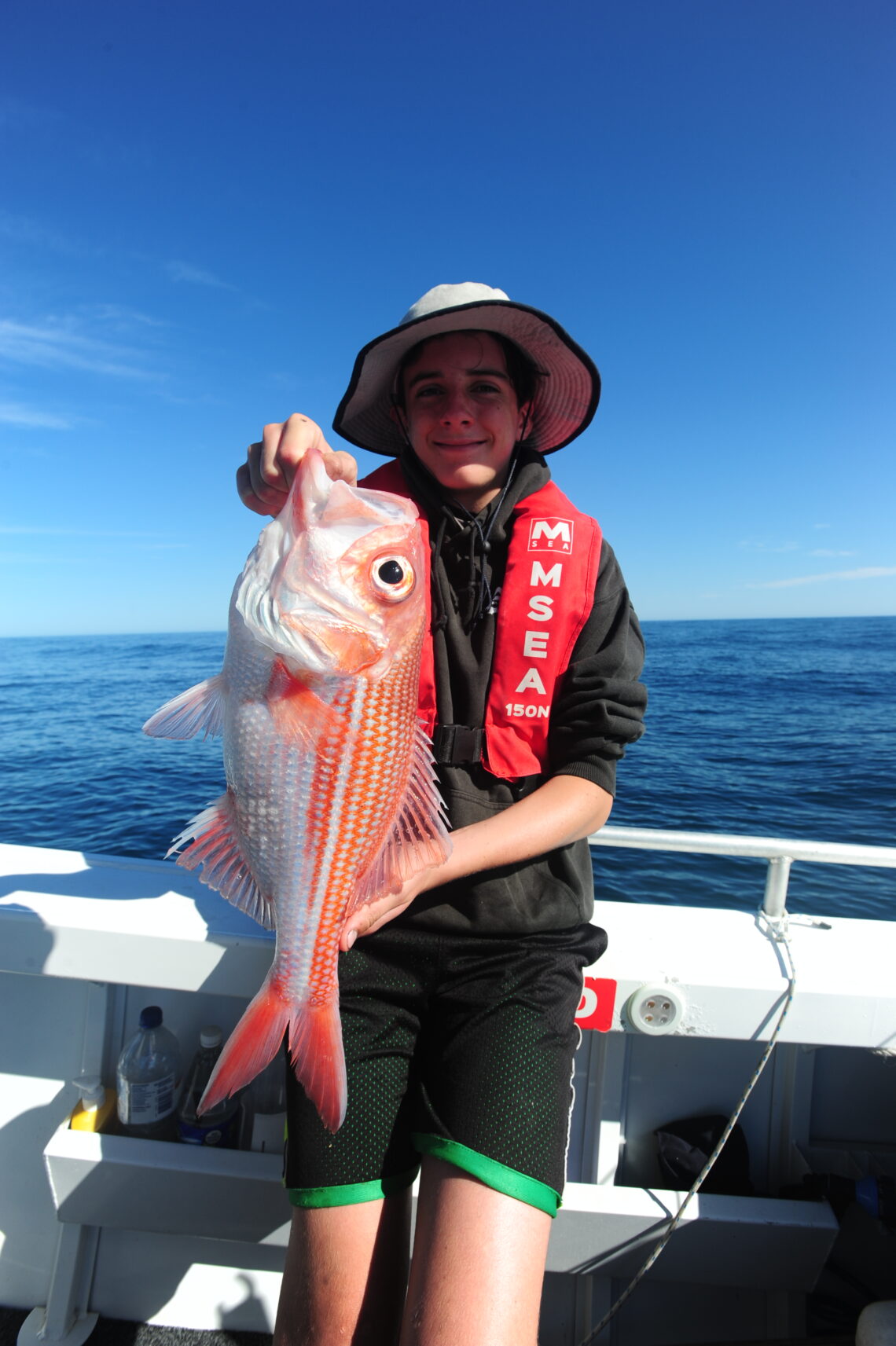 South Australian red snapper - Fishing World Australia