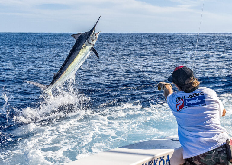 Pelagic Gear Australia - Fishing World Australia