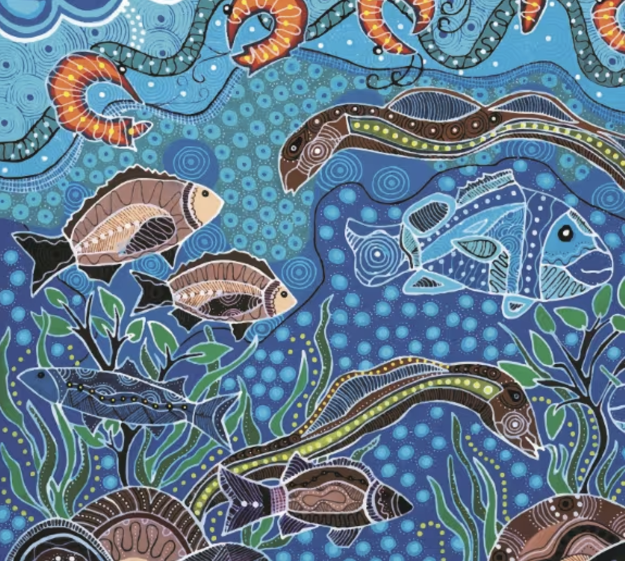 $500k available for Aboriginal fishing projects - Fishing World Australia