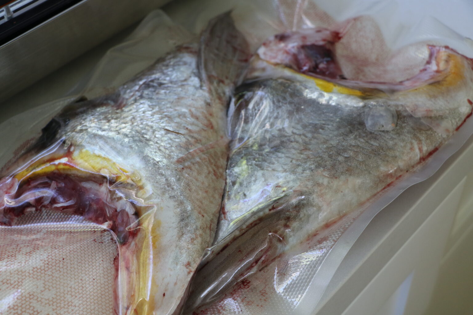 Pac Food VS603 vacuum sealer review - Fishing World Australia