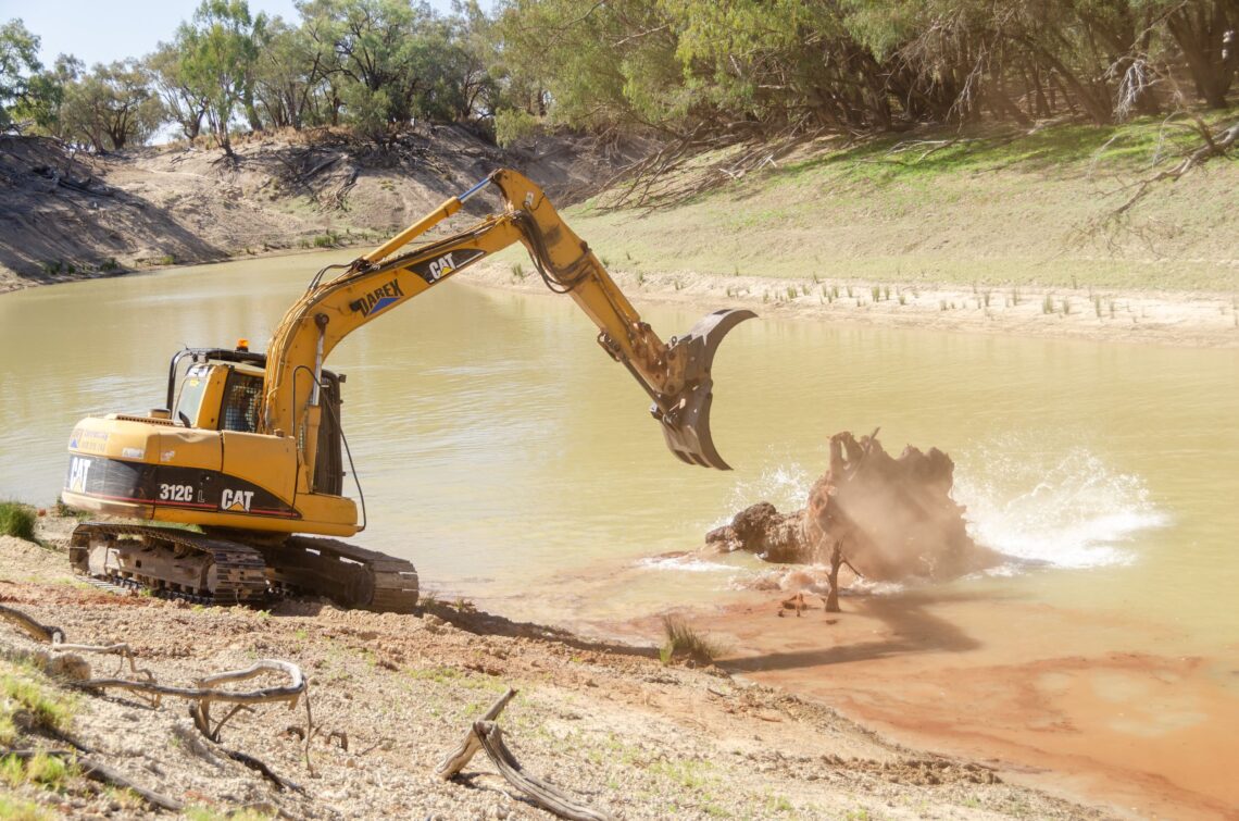 Murray Cod snag new habitat in Darling-Baaka River - Fishing World ...