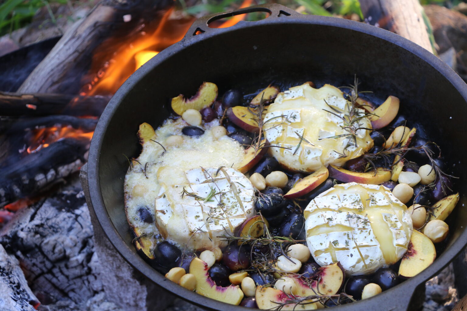 Solidteknics cookwear review - Fishing World Australia