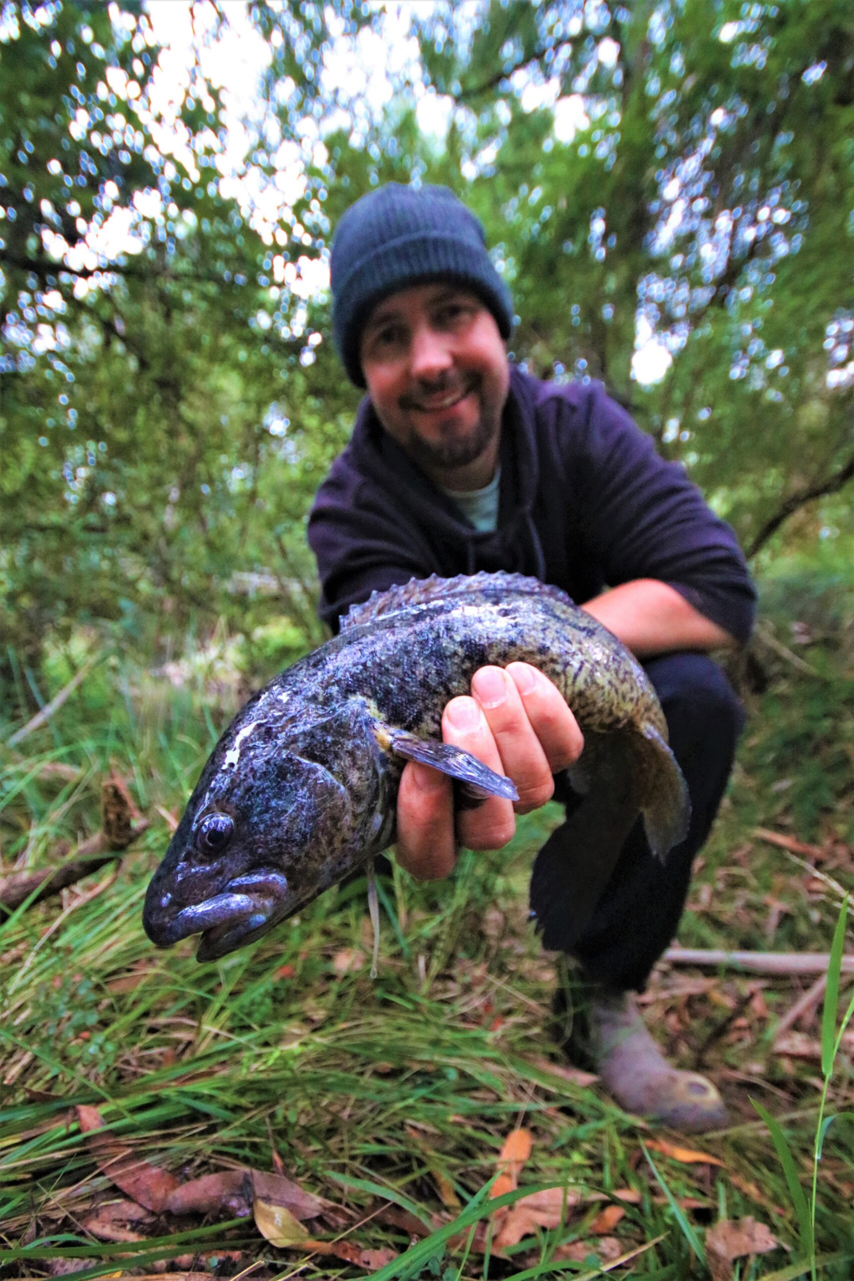 How to catch river blackfish - Fishing World Australia