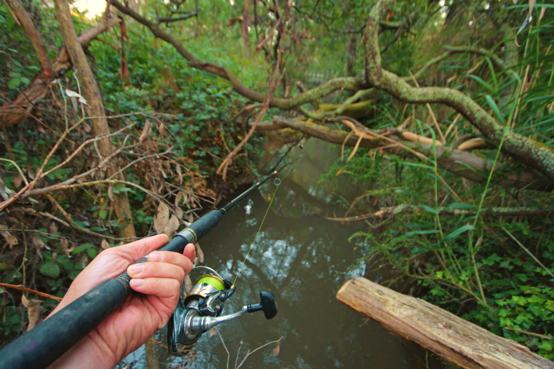 How to catch river blackfish - Fishing World Australia