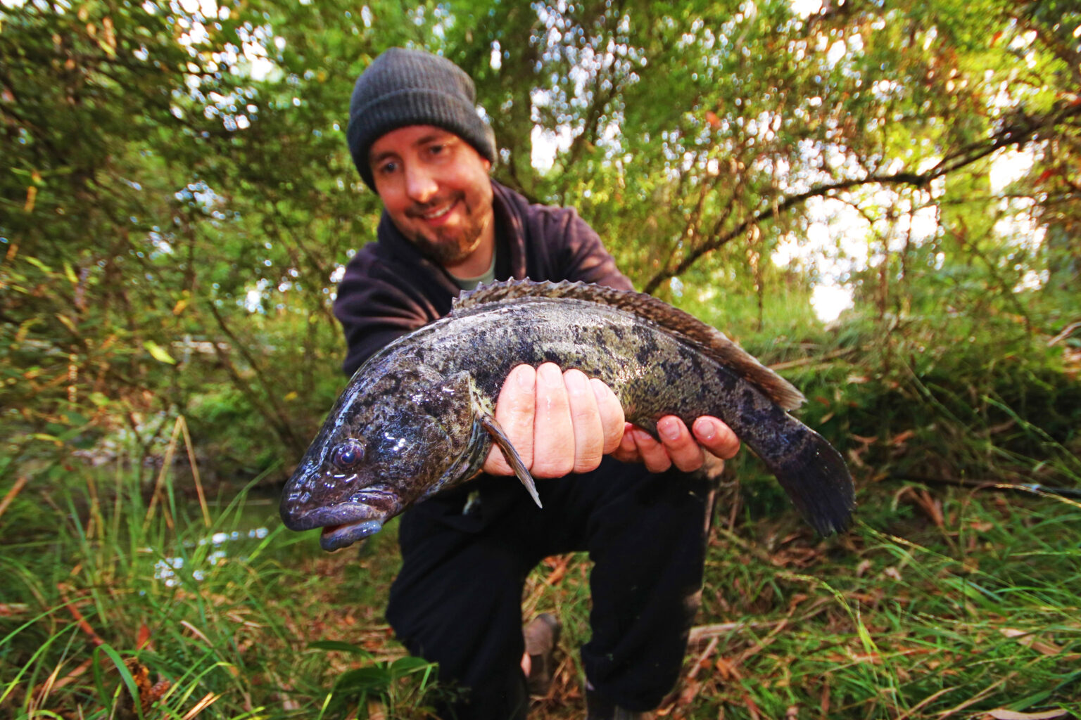 How to catch river blackfish - Fishing World Australia