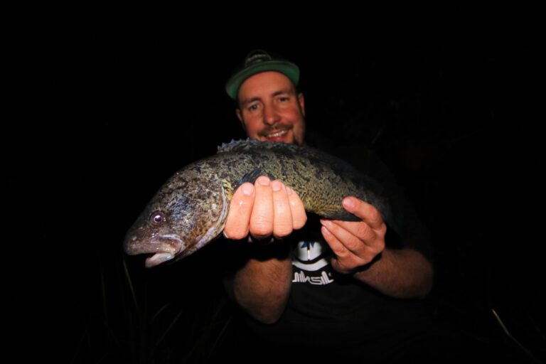 How to catch river blackfish - Fishing World Australia
