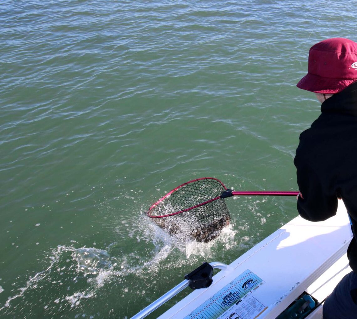 Landing fish - Fishing World Australia