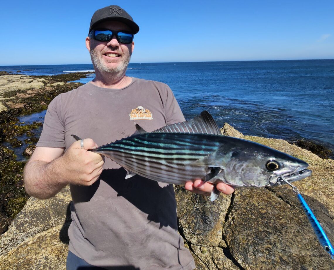 South Coast bonito - Fishing World Australia
