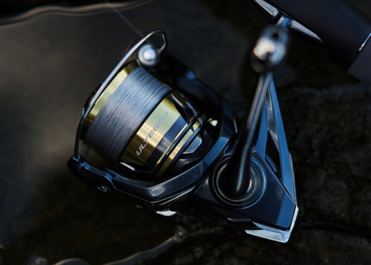 Daiwa Revelry - Fishing World Australia