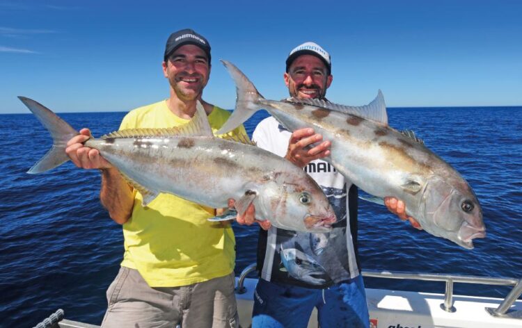 Samson fish species guide - Fishing World Australia