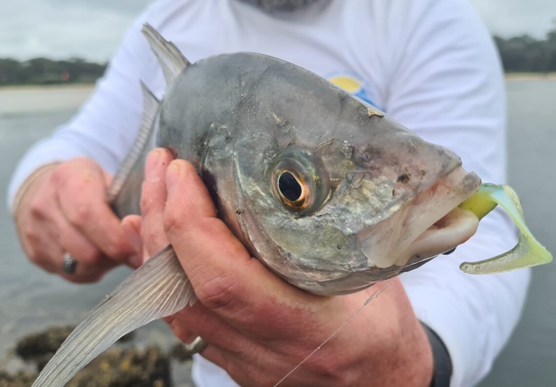 A tribute to trevally - Fishing World Australia