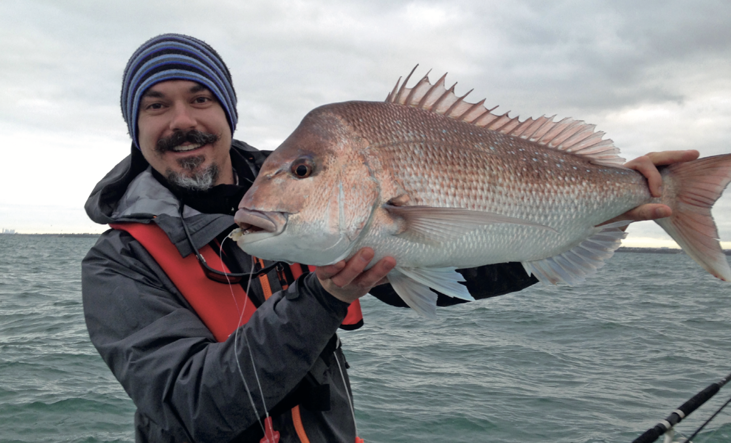 Melbourne snapper - Fishing World Australia
