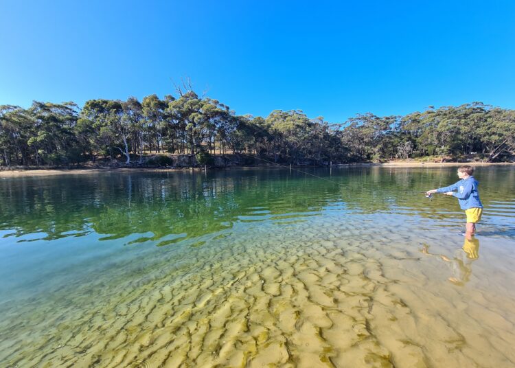 How to catch river blackfish - Fishing World Australia
