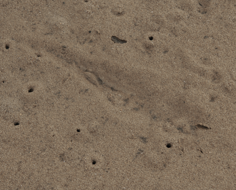 Winning flathead tips - Fishing World Australia