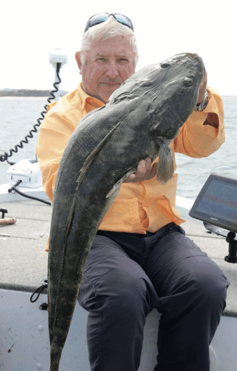 Winning flathead tips - Fishing World Australia