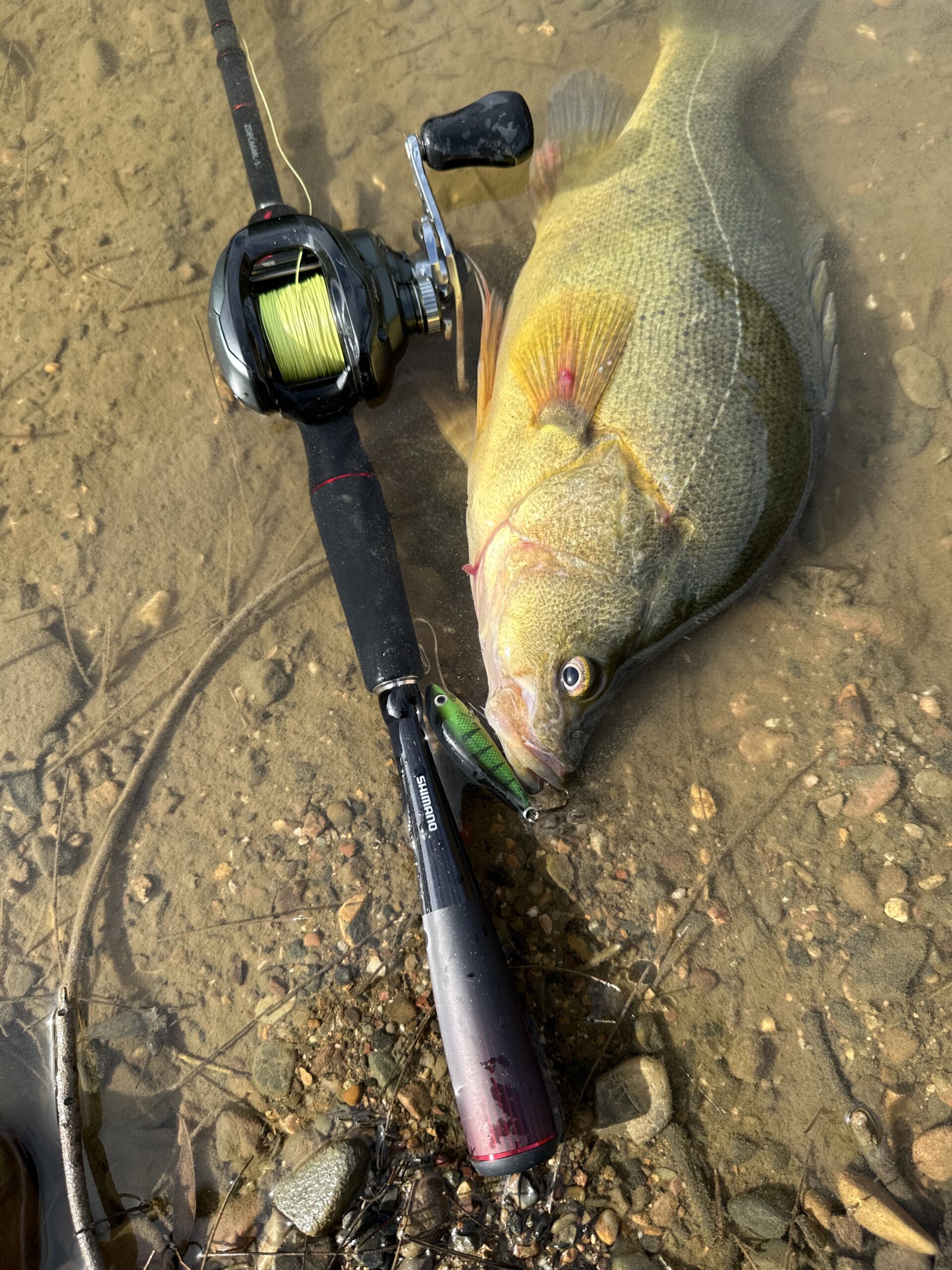 Fresh start to spring - Fishing World Australia