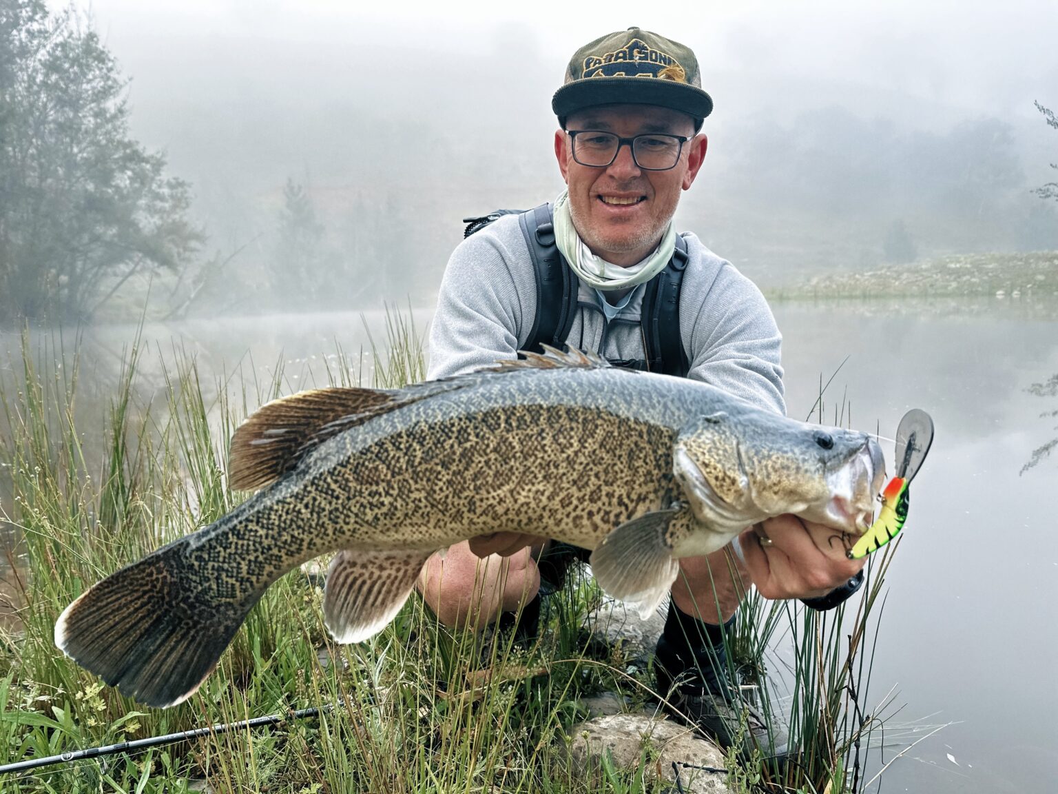 The mighty Murray cod - Fishing World Australia