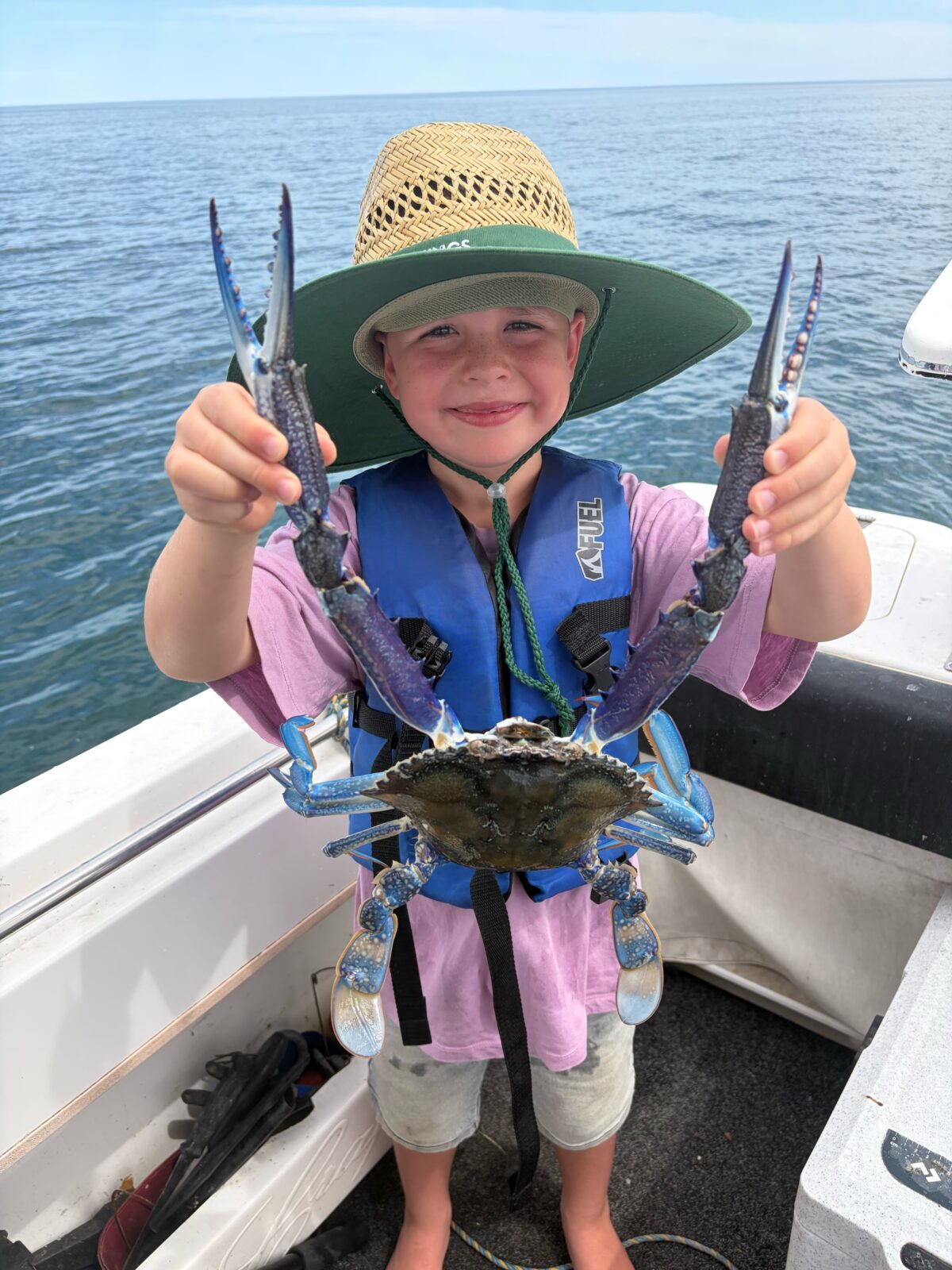 Has South Australia's algae bloom turned the corner? - Fishing World ...