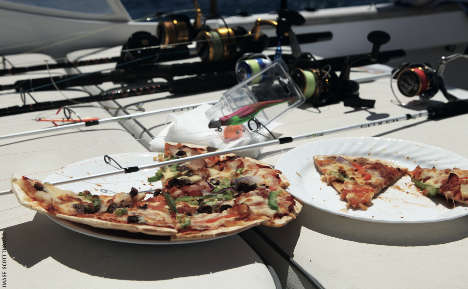 Food for fishing - Fishing World Australia